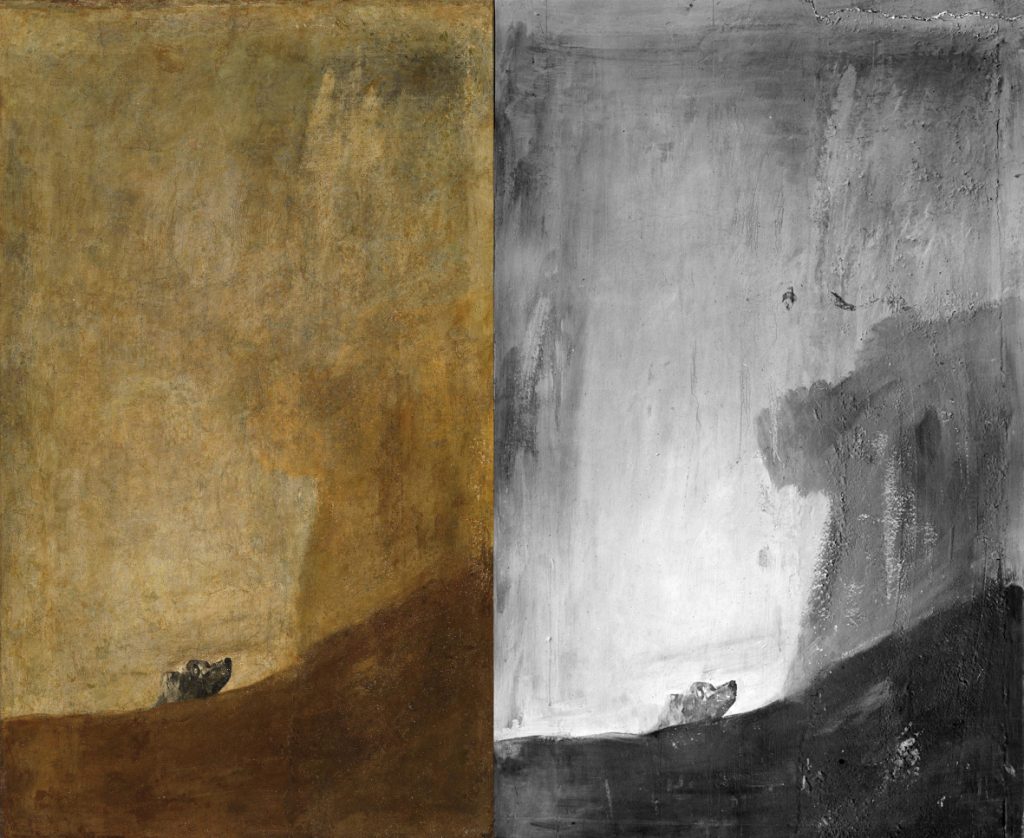 GOYA Y LAS SERENDIPIAS primera parte